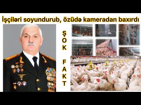 Təcili hərkəs paylaşsın- Giləzi quşçuluq fabrikində Bəylərin elədiyi biyabırçı hərəkətlər/ Kamerada