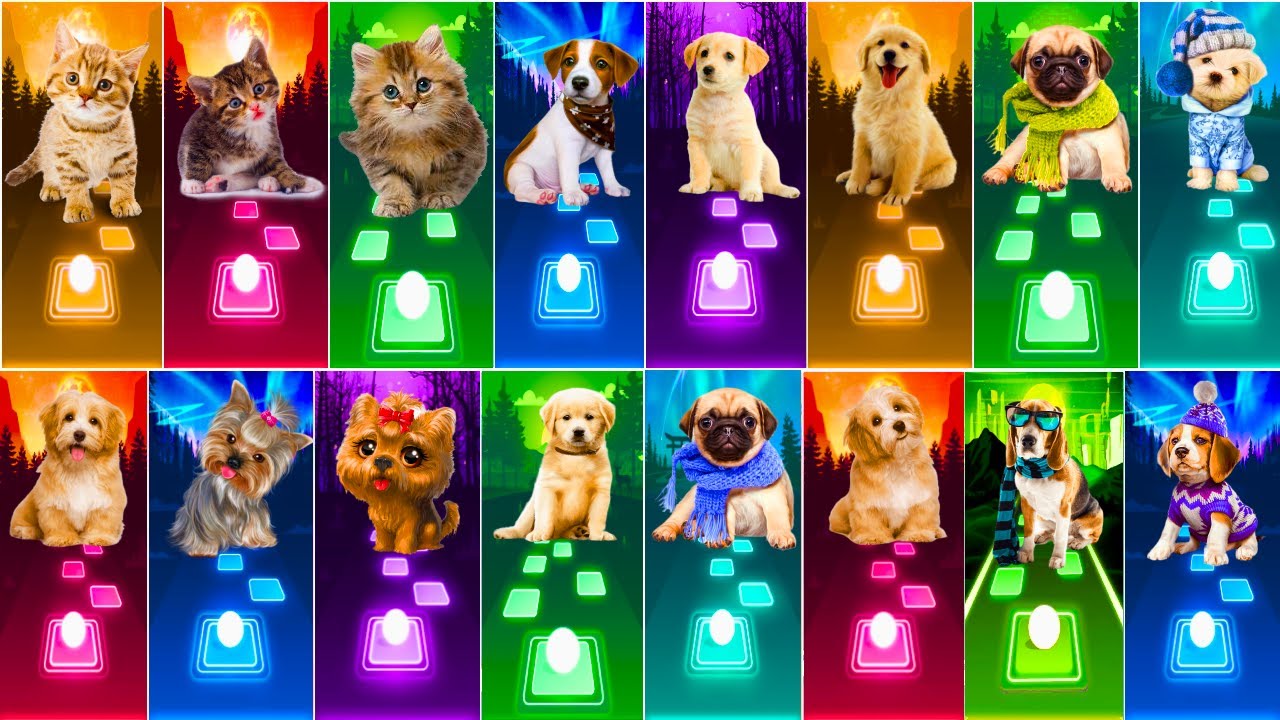 ALL CUTE CATS VS DOGS - IMAGINE DRAGONS - WAKA WAKA - SAVAGE LOVE ...