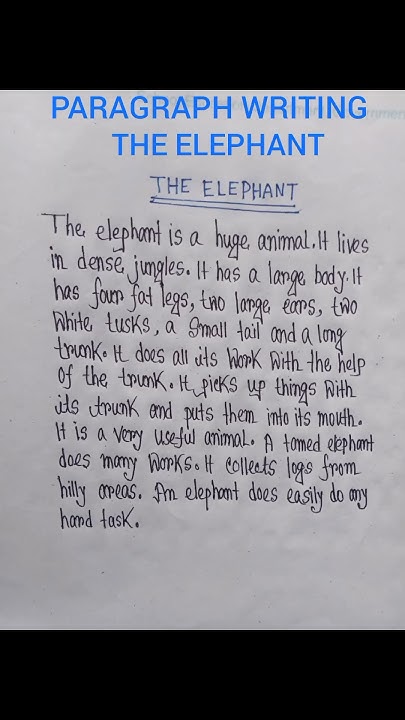 paragraph writing the elephant new short video #shorts - YouTube