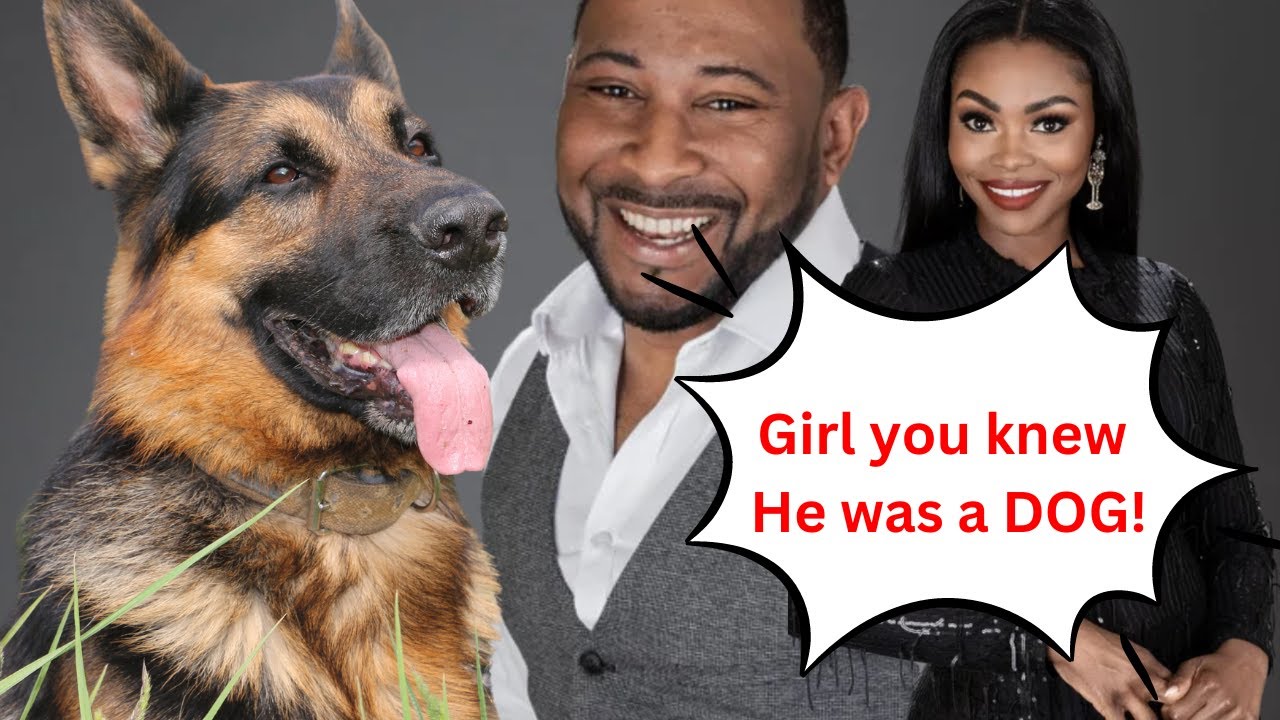 🐕 🦴Review→MORGAN YOU KNEW TONI WAS A DOG READY TO LOVE MIAMI SEASON 7 ...