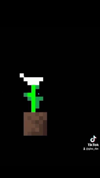 Flor de Minecraft hecho con Python #minecraft #python #programming #shorts - YouTube