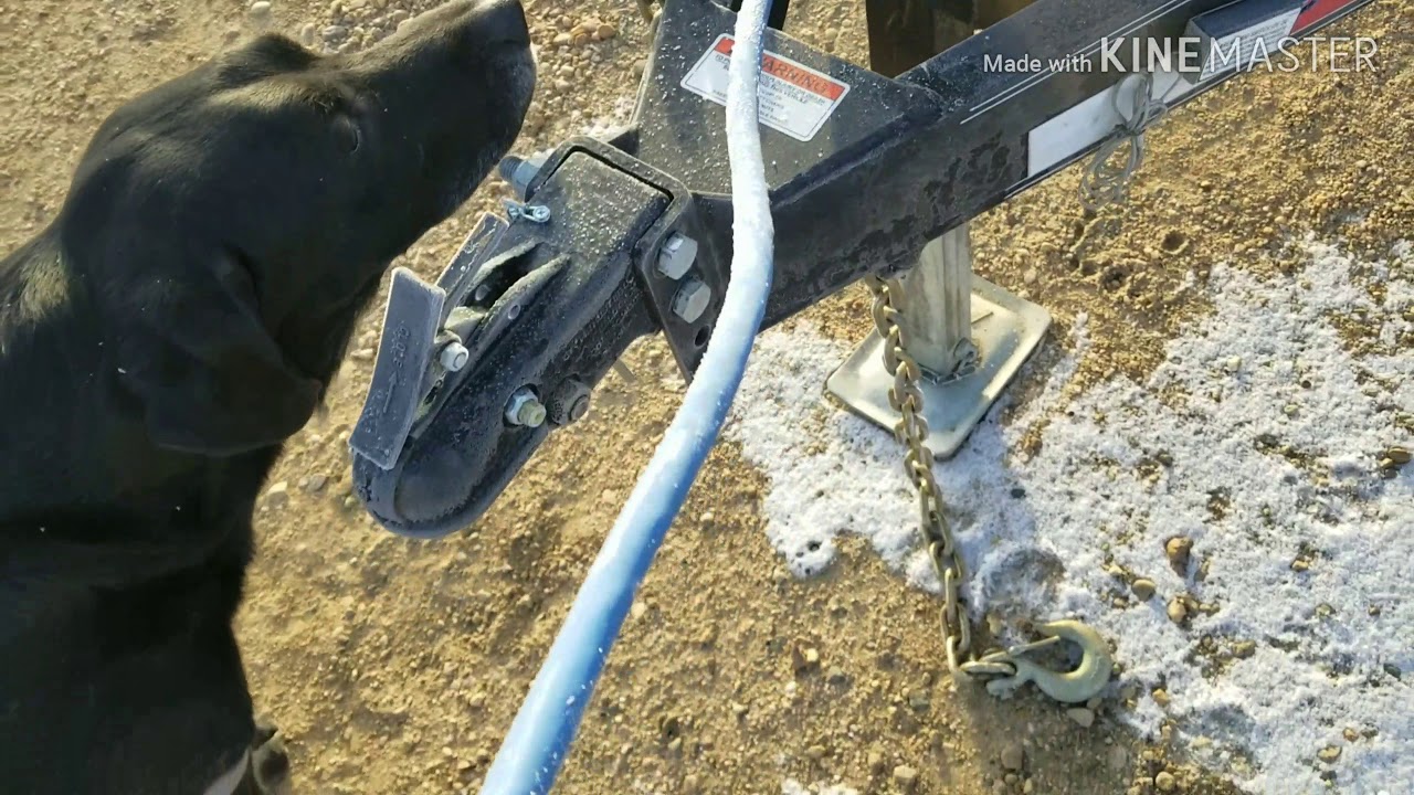 Artic Blue 7 Way Trailer Harness - YouTube