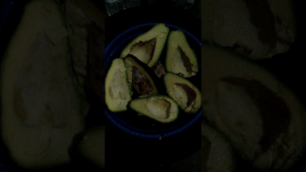 Avocado - YouTube