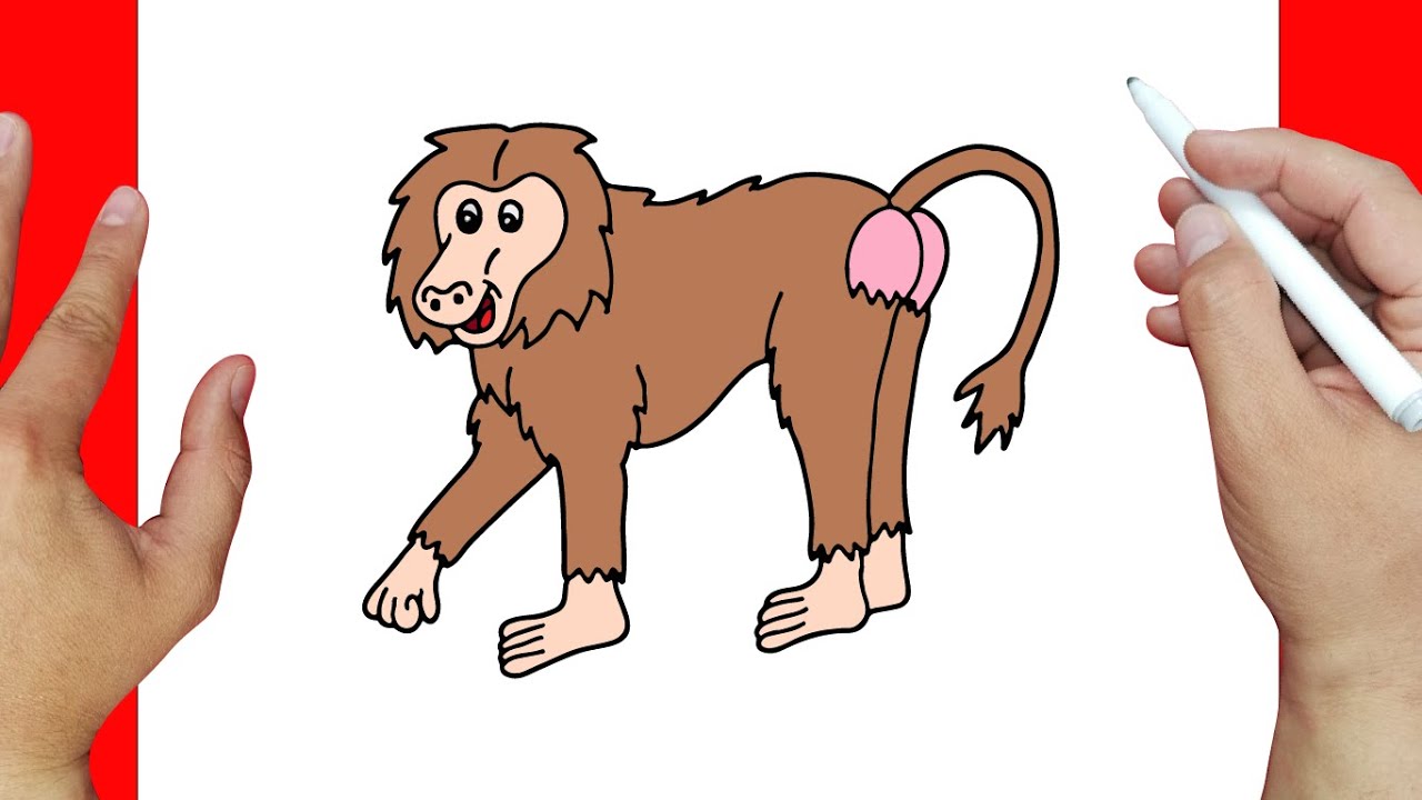 How to draw a baboon - YouTube
