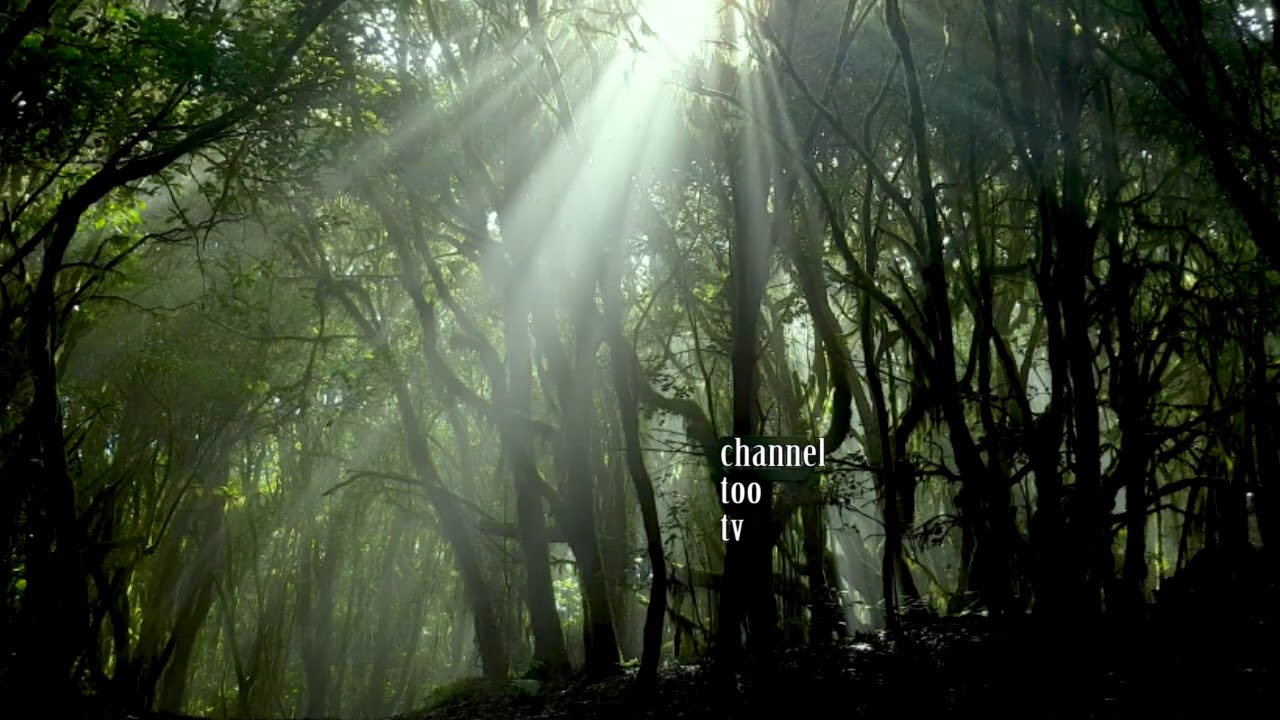 Relaxing Nature Sound, Sleeping Sound/channel too tv - YouTube