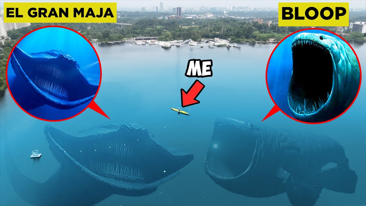 Drone Catches GIANT EL GRAN MAJA & GIANT BLOOP IN REAL LIFE!! (EL GRAN ...