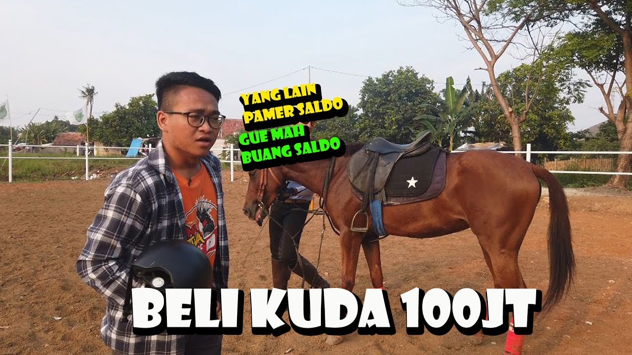 BELI KUDA 100JT BIKIN PUSING ISI DOMPET || PART 2 - YouTube