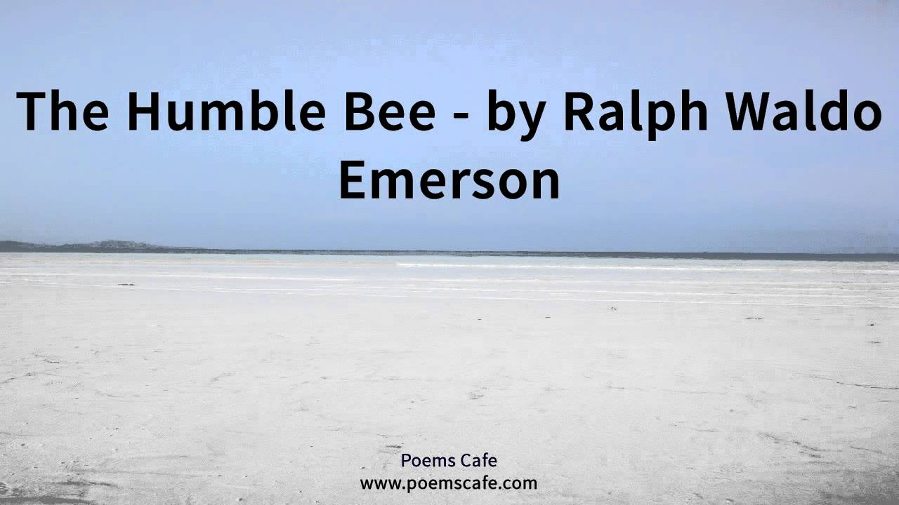 The Humble Bee by Ralph Waldo Emerson - YouTube