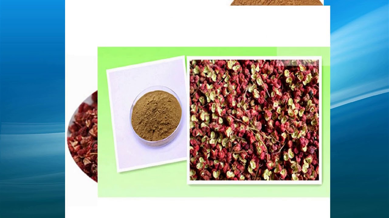zanthoxylum extract supplier,wholesale,bulk,factory - YouTube