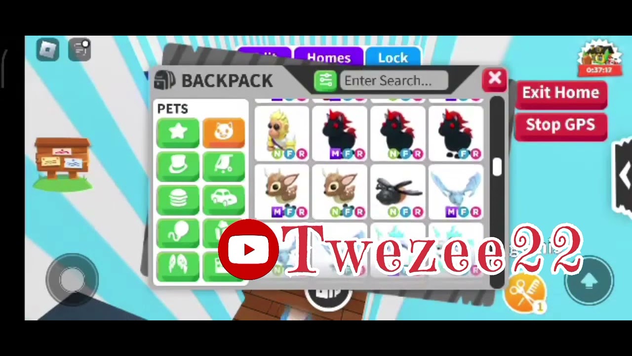 Adoptme inventory🎯 giveaway adoptme pets? 🎁 - YouTube