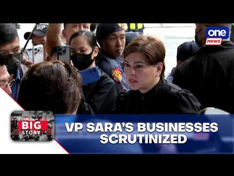 House prosecutors examine VP Sara, Carpio business records