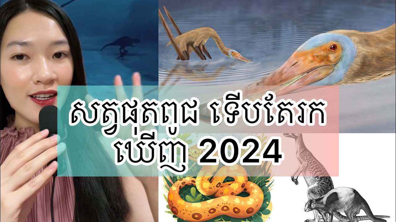 សត្វផុតពូជ ទើបតែរក ឃើញ 2024 - extinct animal found in 2024 - YouTube