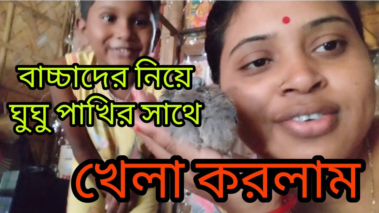 ঘুঘু পাখির সাথে খেলা। Play with ghughu bird - YouTube