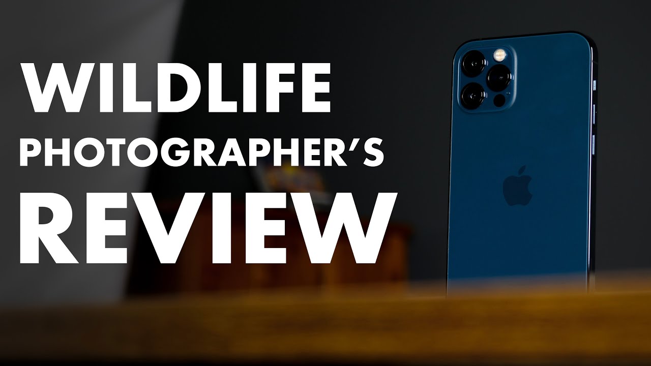 iPhone 12 Pro for Wildlife Photography?? - YouTube