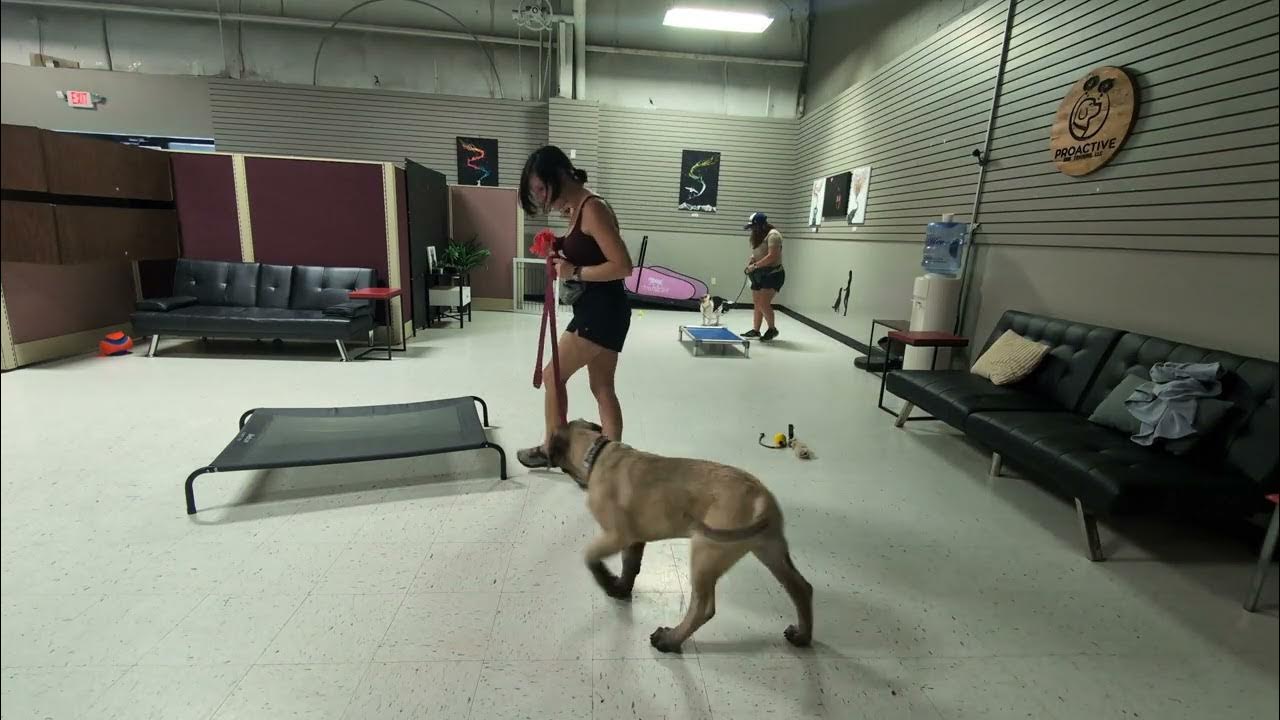 Willow & Clover Place - YouTube