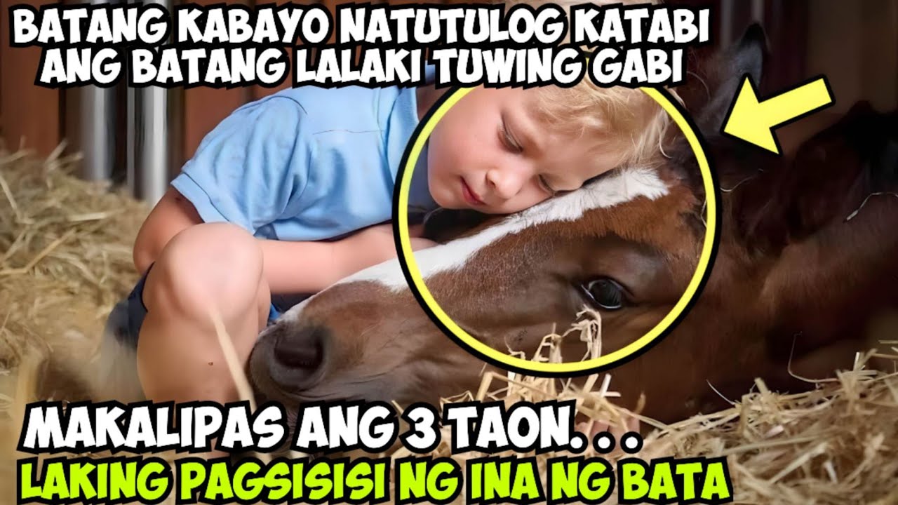 KABAYO NATUTULOG KATABI ANG BATANG LALAKI TUWING GABI MAKALIPAS ANG 3 ...