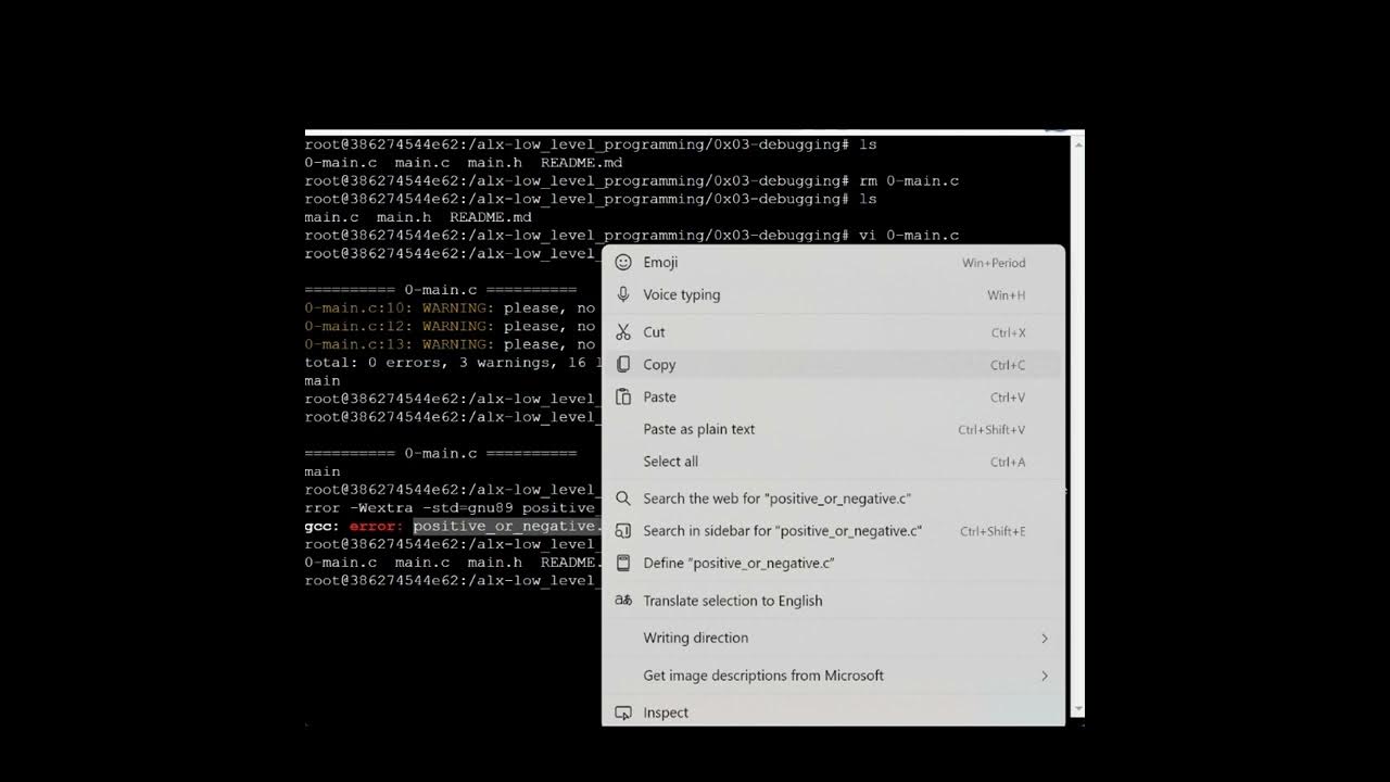 0x03 C Debugging - YouTube