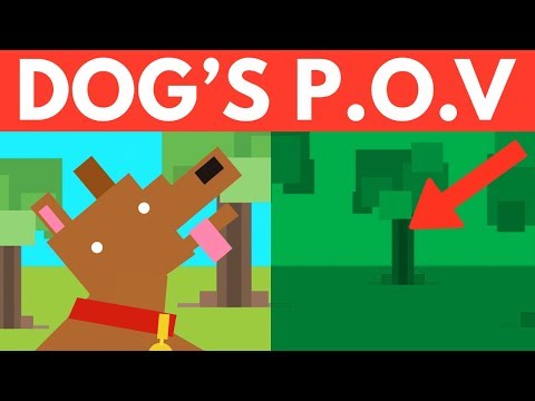 What's It Like To Be A Dog?