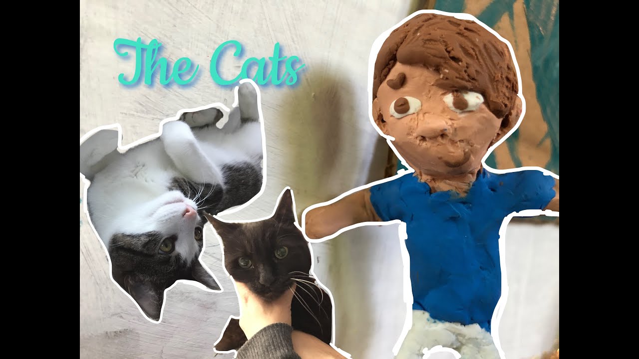 'The Cats' A Stop Motion Animation Film | MCAD - YouTube