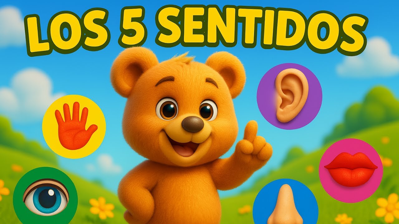 Cancion de los 5 sentidos 👅👂 Canción Educativa | BebeOsitos 🧸 - YouTube