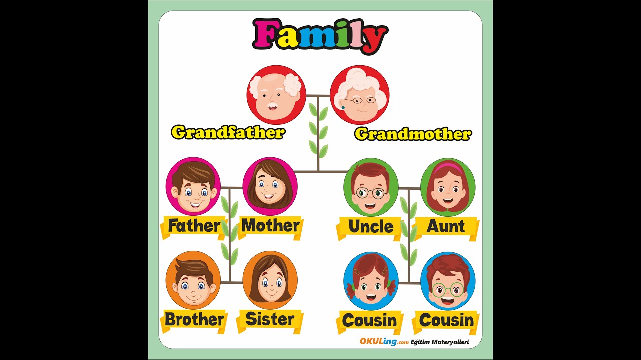 İngilizce Aile Bireyleri - Learn English Vocabulary - Family - YouTube
