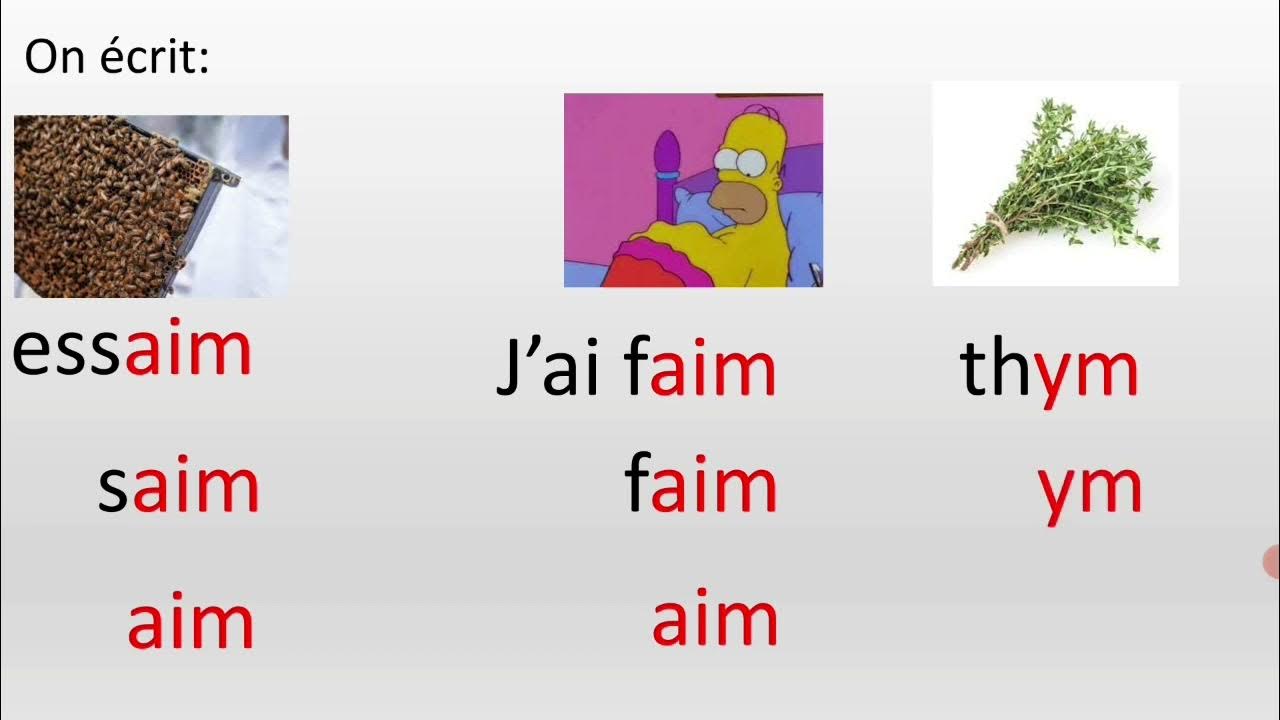 Apprendre à lire : in - im - ain - aim - ein/ Apprendre à lire le ...