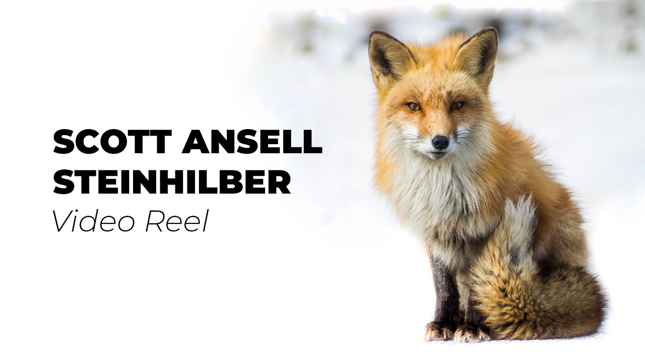 Scott Ansell Steinhilber Video Reel - YouTube