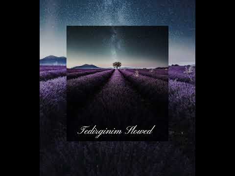 𝙙𝙤𝙙𝙤 𝙛𝙩. 𝙙𝙤𝙧𝙖 – 𝙩𝙚𝙙𝙞𝙧𝙜𝙞𝙣𝙞𝙢 (𝙨𝙡𝙤𝙬𝙚𝙙)