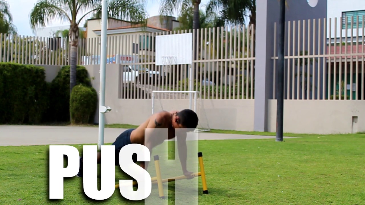 Lebert Equalizer Push Ups| My Fitness Gym - YouTube