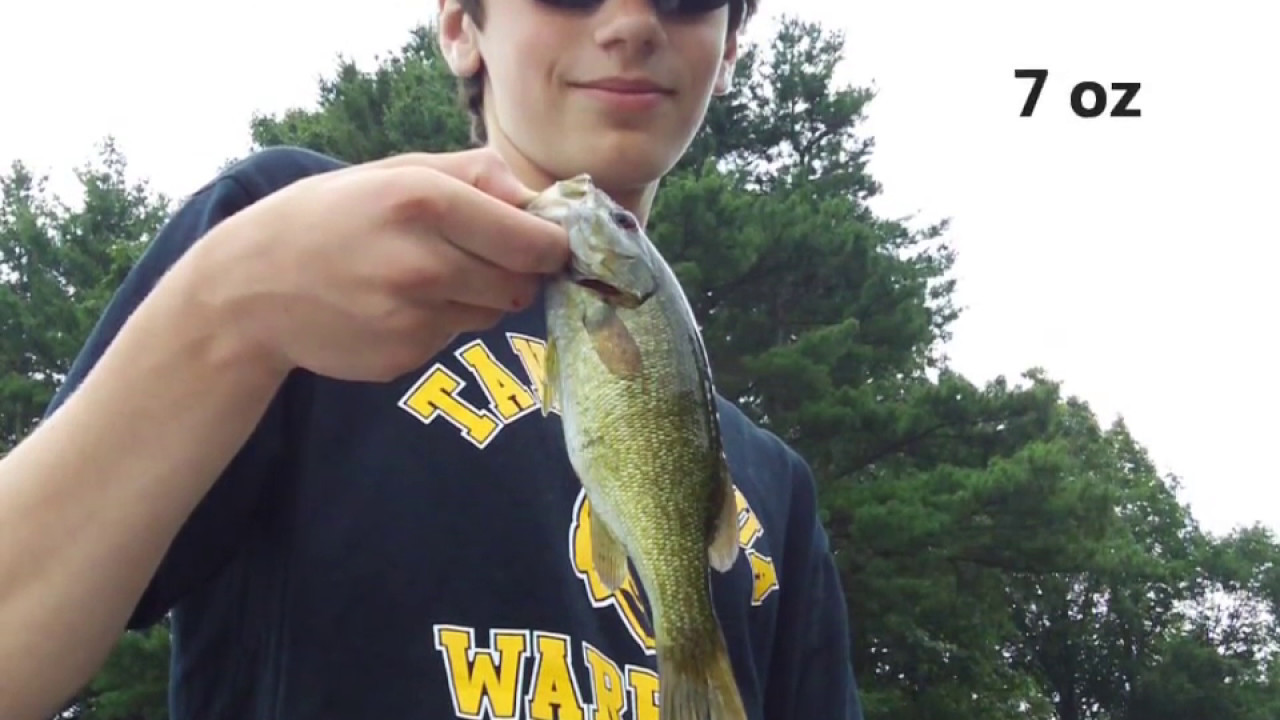 Largemouth Bass Fishing in Massachusetts - YouTube