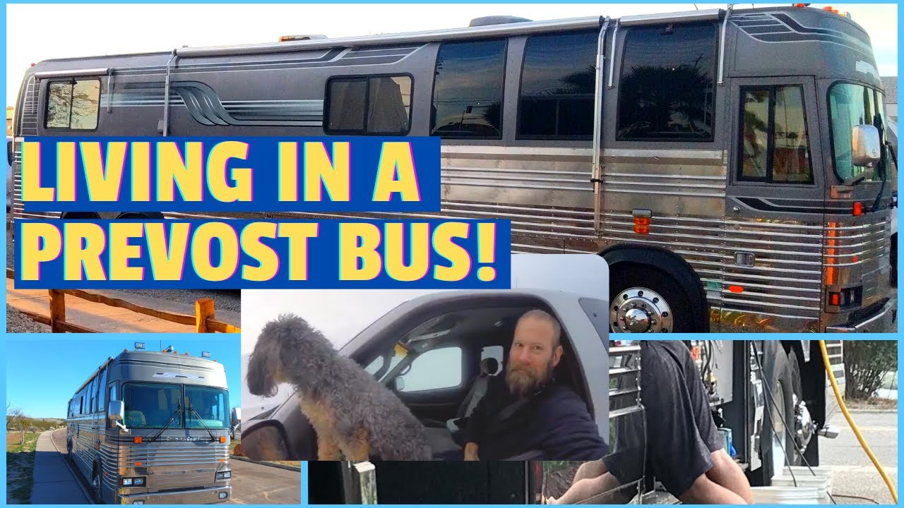 How I Ended Up Living In A Prevost Bus | The Oreo Tails (Origin Story ...