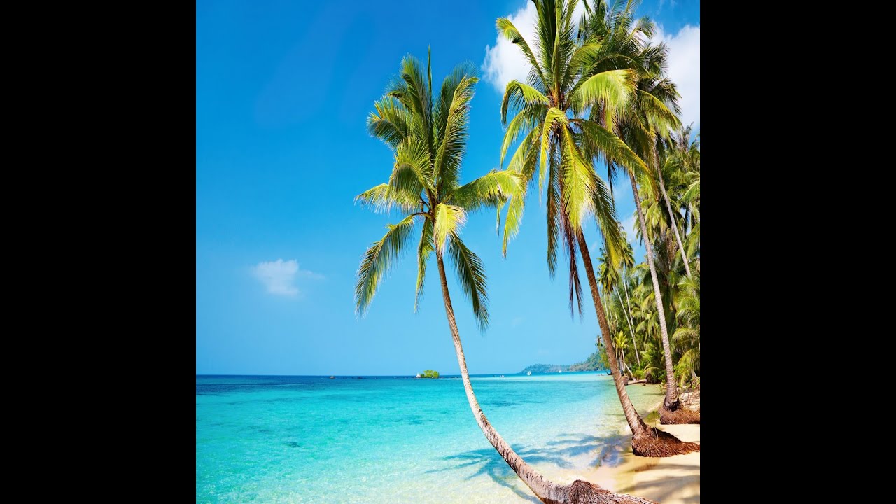Ocean Drive YouTube ocean-drive-youtube