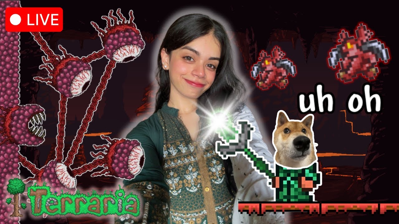 Preparing for Wall of Flesh!! | Terraria beginner mage playthrough ...