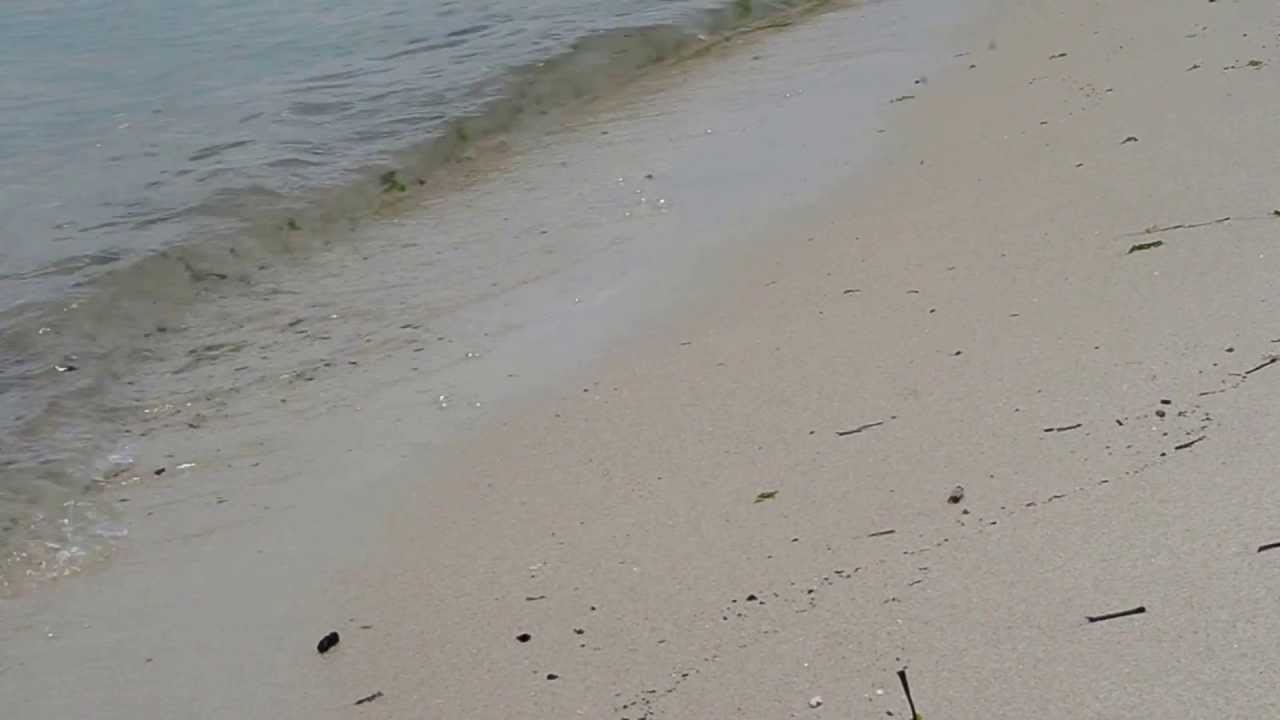 Swash and Backwash @ Changi Beach Park - YouTube