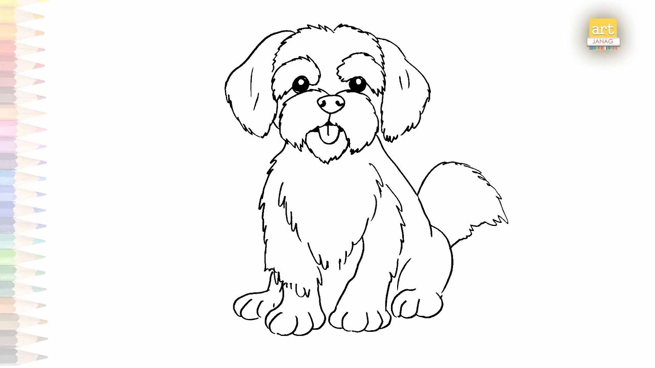 Shih Tzu drawing easy | Animal drawing tutorial | How to draw A Shih Tzu simply | #artjanag ...