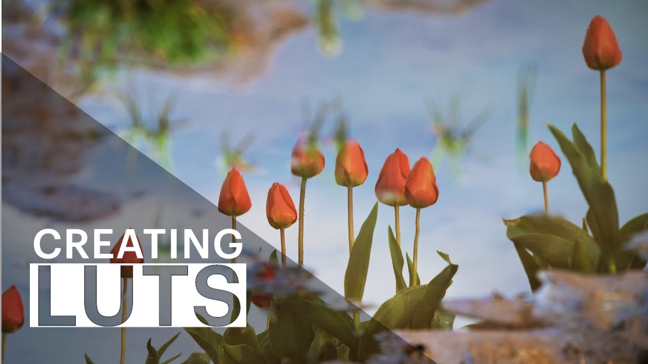 Creating your own LUT files for color styling - YouTube