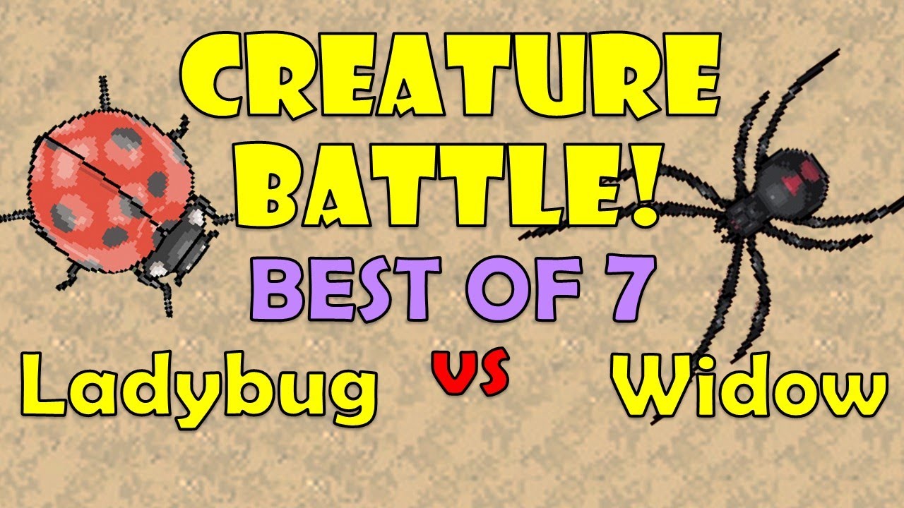 Ladybug vs Widow Spider - Creature Battle - Pocket Ants - Smart Daddy ...