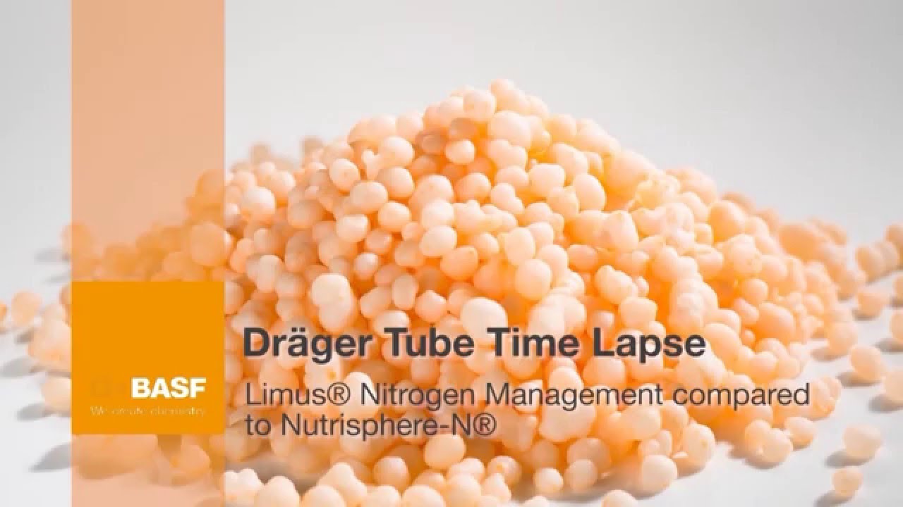 Limus Compared to Nutrisphere-N - YouTube