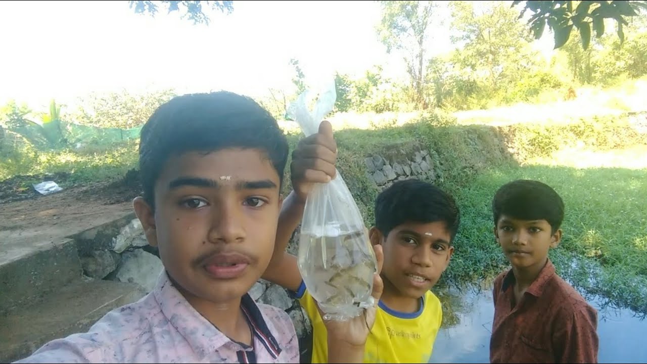 #25 on trending Oru poli fish 🐟 trap | #fishing |#entertainment |# ...