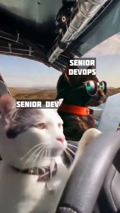 Developers ☠️🫡 Memes Coding Softwaredeveloper Pythonprogramming Youtube