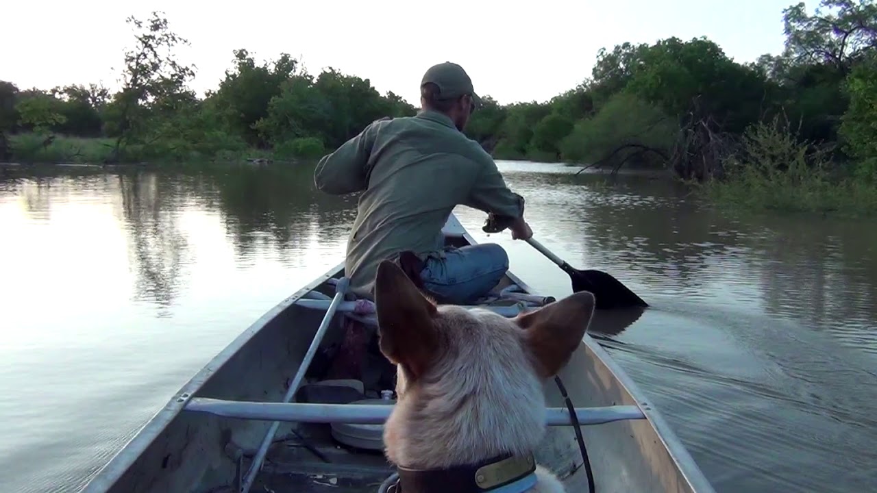 Thoughts on the Water (Flood Monsters) - YouTube