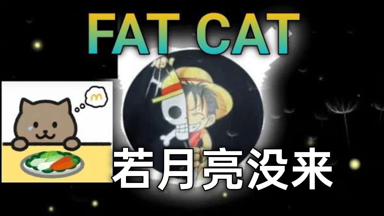 DJ FAT CAT Ruo Yue Liang mei lai BREAKBEAT FULLBASS TERBARU - YouTube