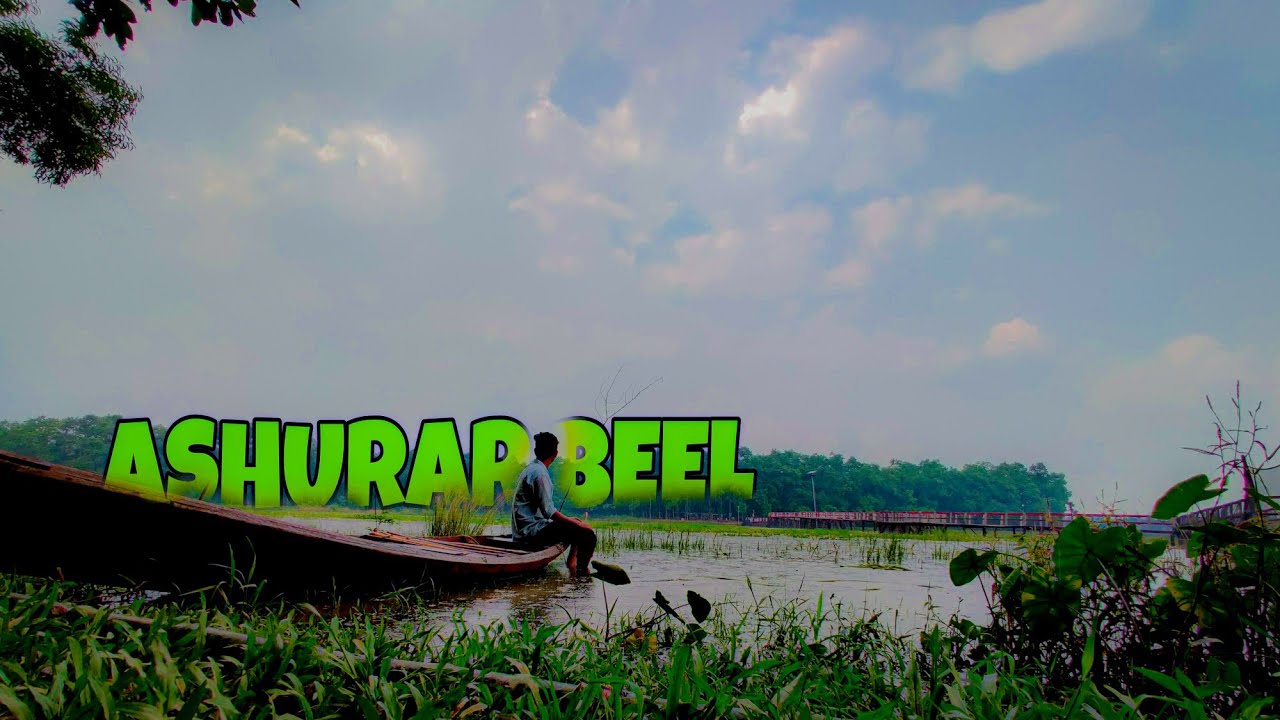 আশুরার বিল Ashurar Beel | নবাবগঞ্জ Nobabgonj | কাঠের ব্রিজ | Asurar Bil ...