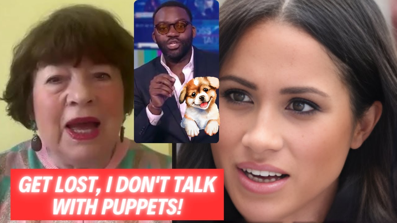 YOU ARE ONE OF MEGHANS' LAPDOGS! Angry Angela Levin Destroy JJ Anisiobi ...