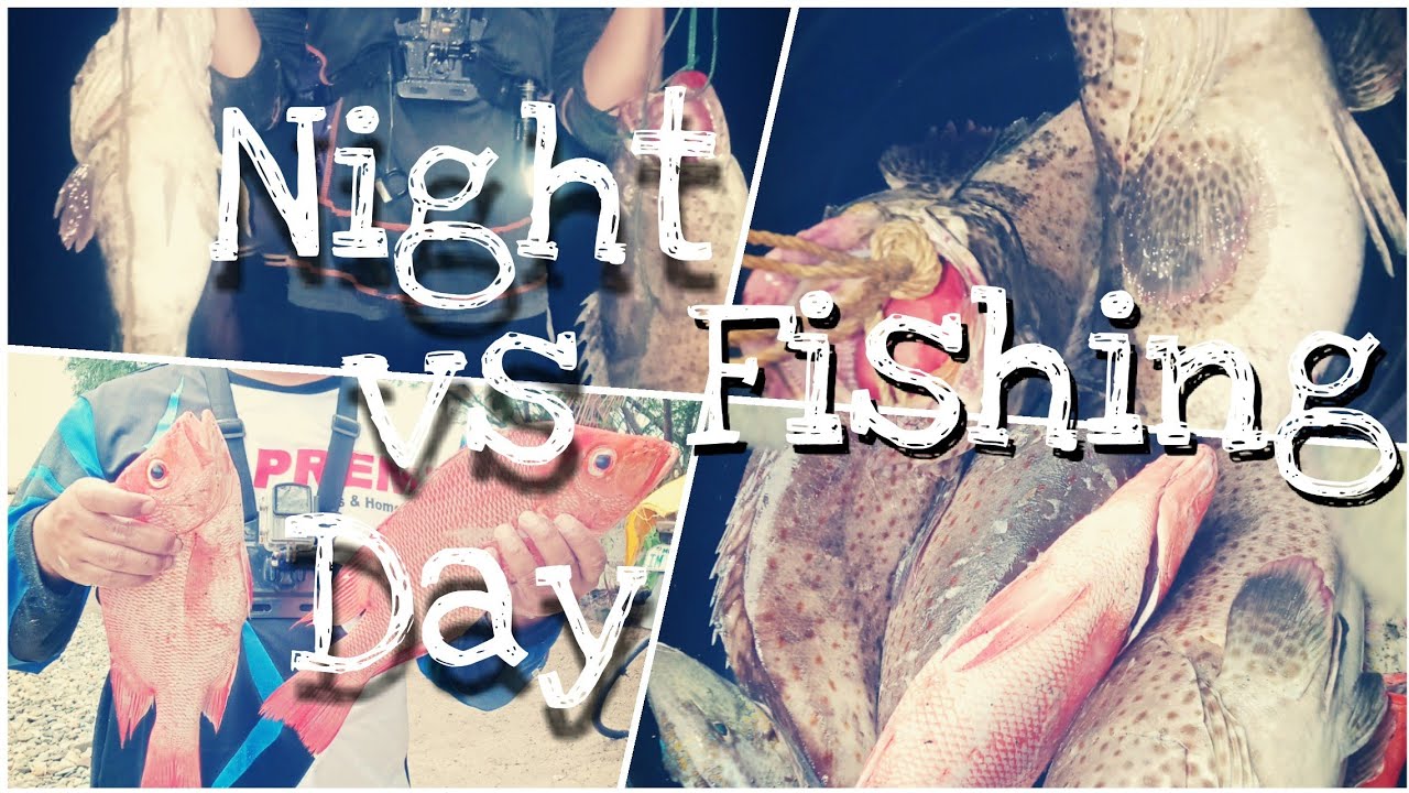 BUBU FISHING (Night & Day) CATCHING DIFF. KINDS OF FISH - YouTube