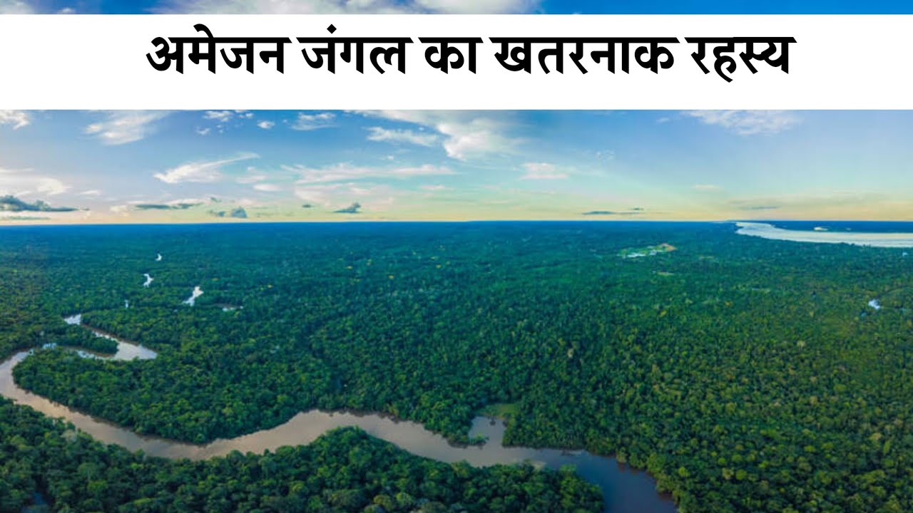 amazon jangal ka rashasya || top Amazing fact || fact video || fact gk ...