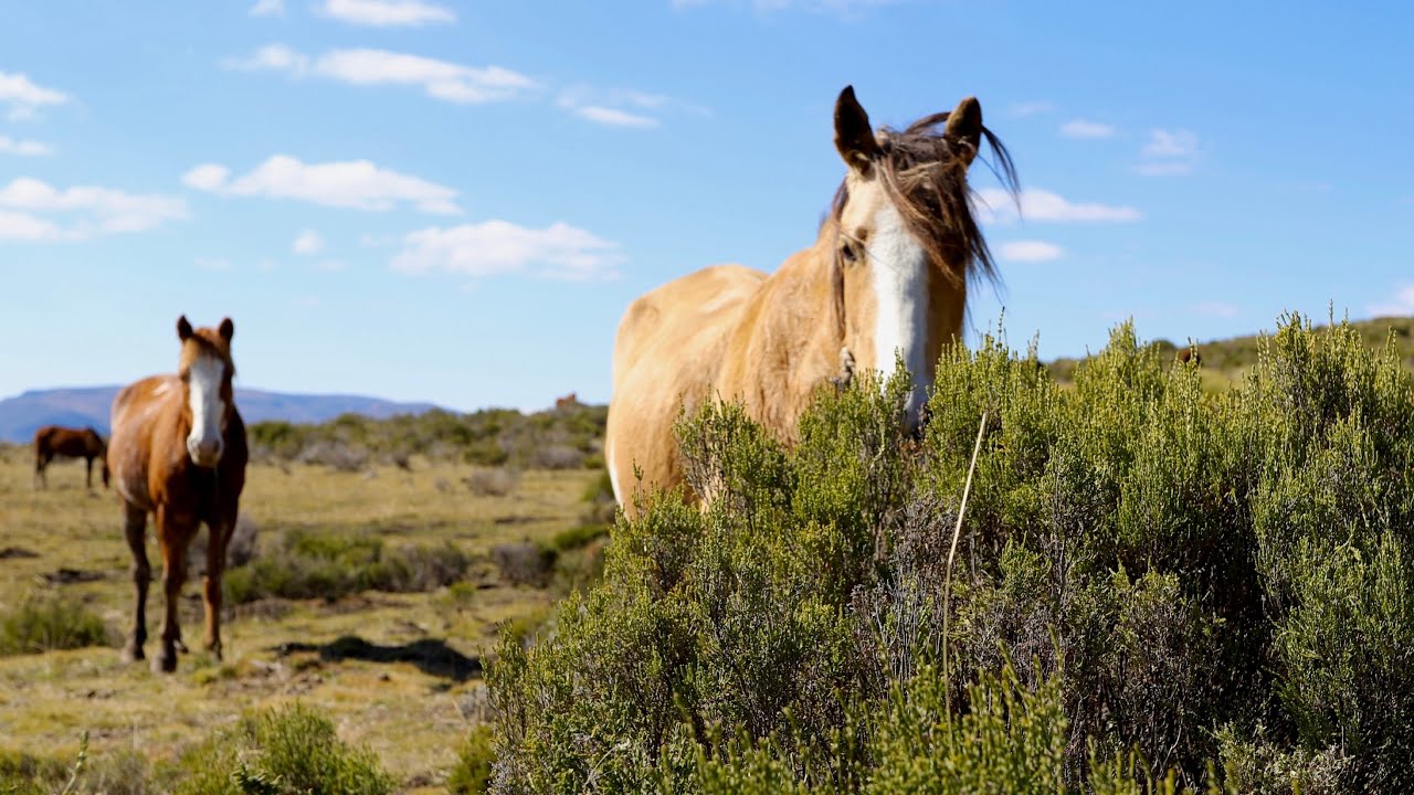Lesotho, a beauty in two acts - YouTube