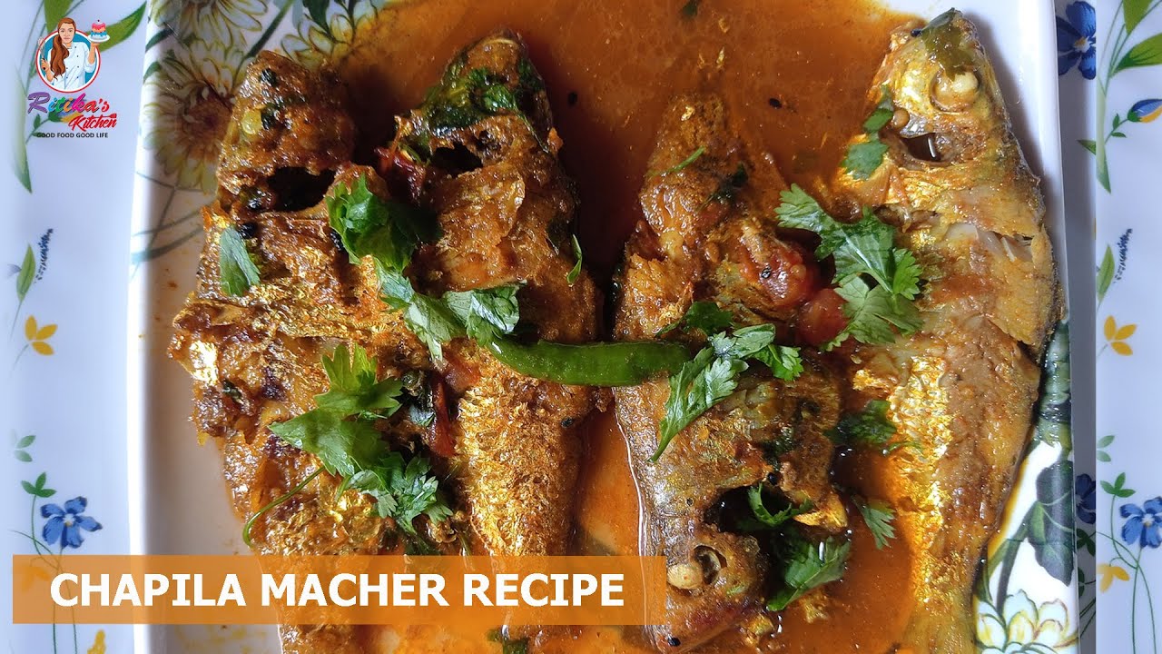 Chapila macher recipe bengali style/chapila macher recipe Ritika's ...