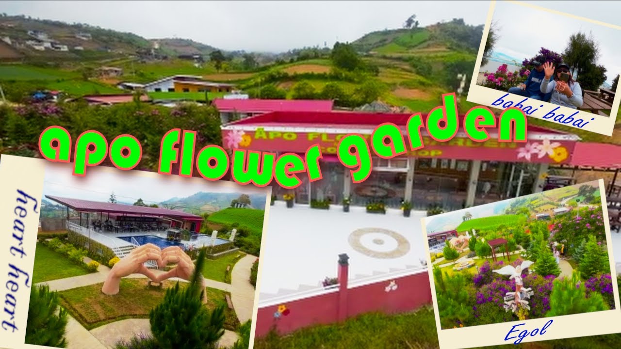 Apo Flower Garden, Kapatagan, Digos City, Davao del Sur - YouTube