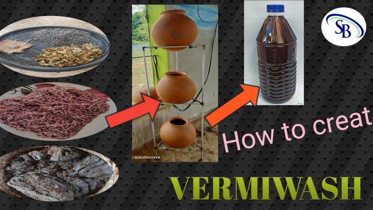 How to creat VERMIWASH, Organic only, ବର୍ମିୱାସ୍ କେମିତି ପ୍ରସ୍ତୁତି କରିବା ...